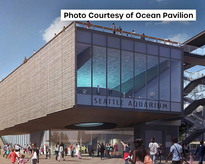 Seattle Aquarium Ocean Pavilion – Build With Strength